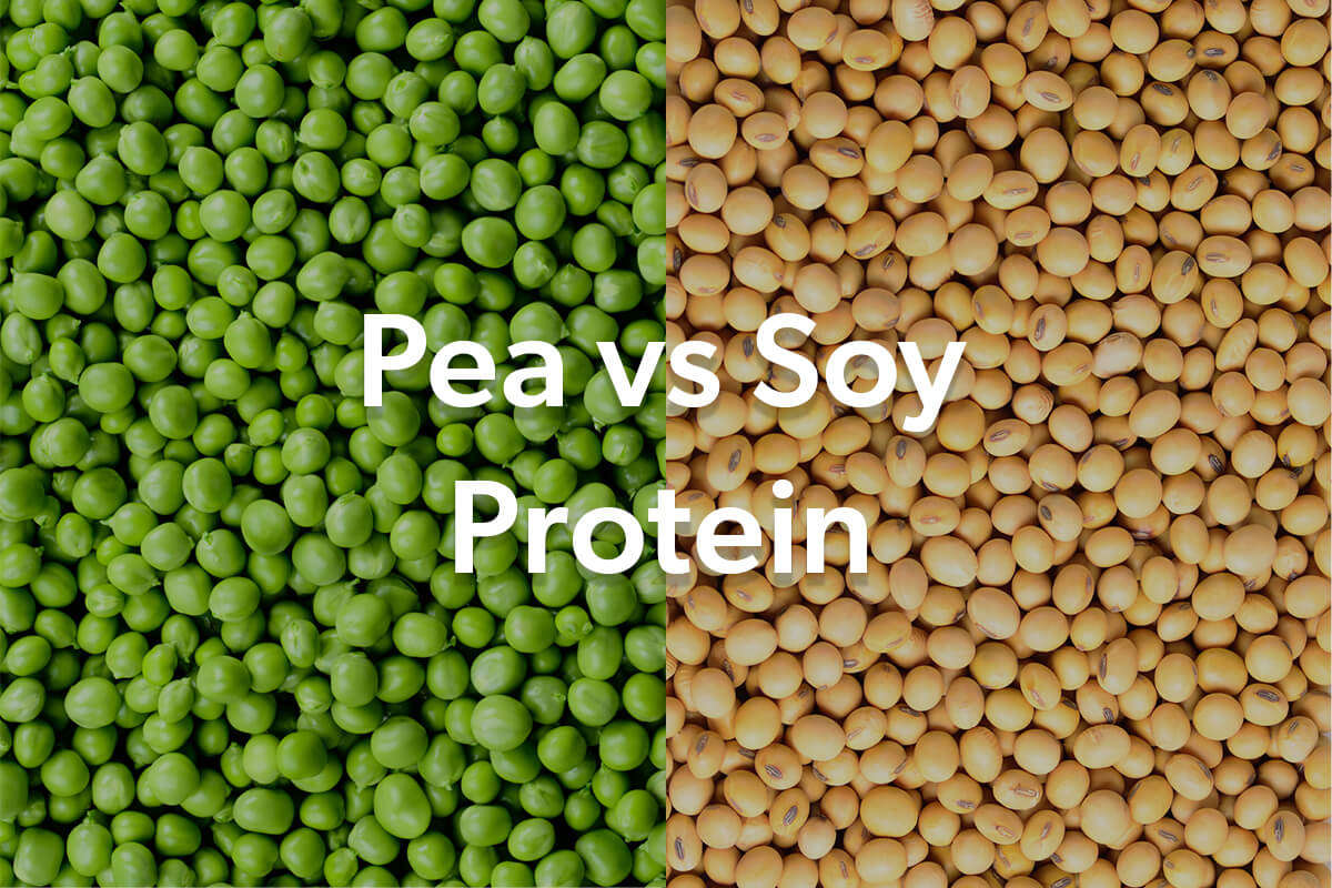 Pea Protein vs. Soy Protein - What Are The Differences? - Fit Vegan Guide Pea Protein vs. Soy Protein - What Are The Differences? - Fit Vegan Guide
